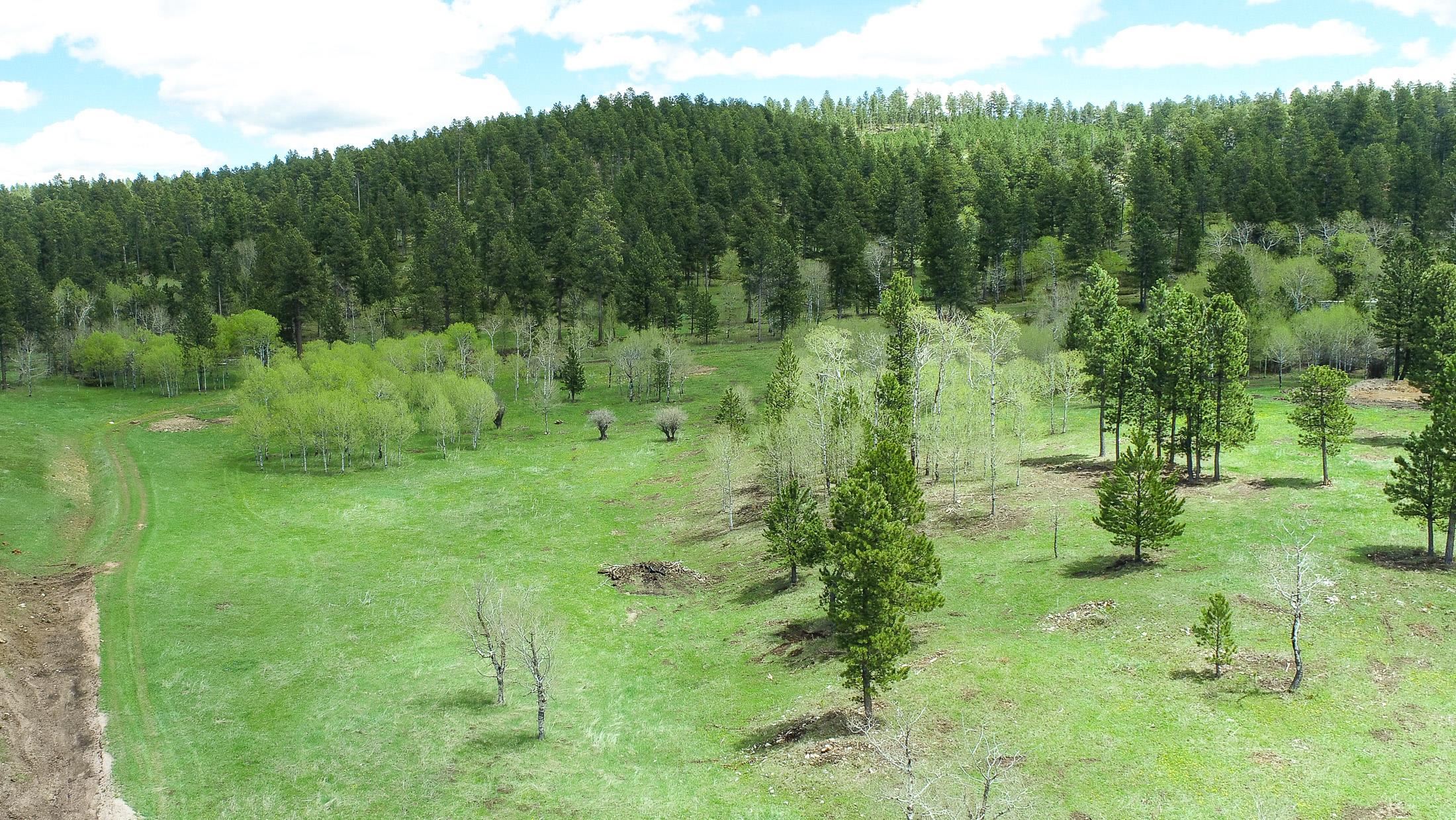 22247, Lead, SD 57754